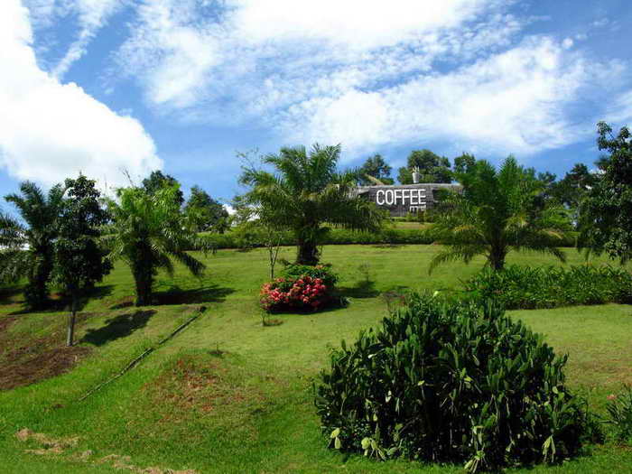 Nakorn Ratchasima Trips Place Travel National Park Khao Yai ...