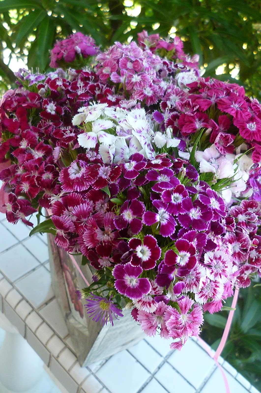 The Flower Shop: Velvet Violet