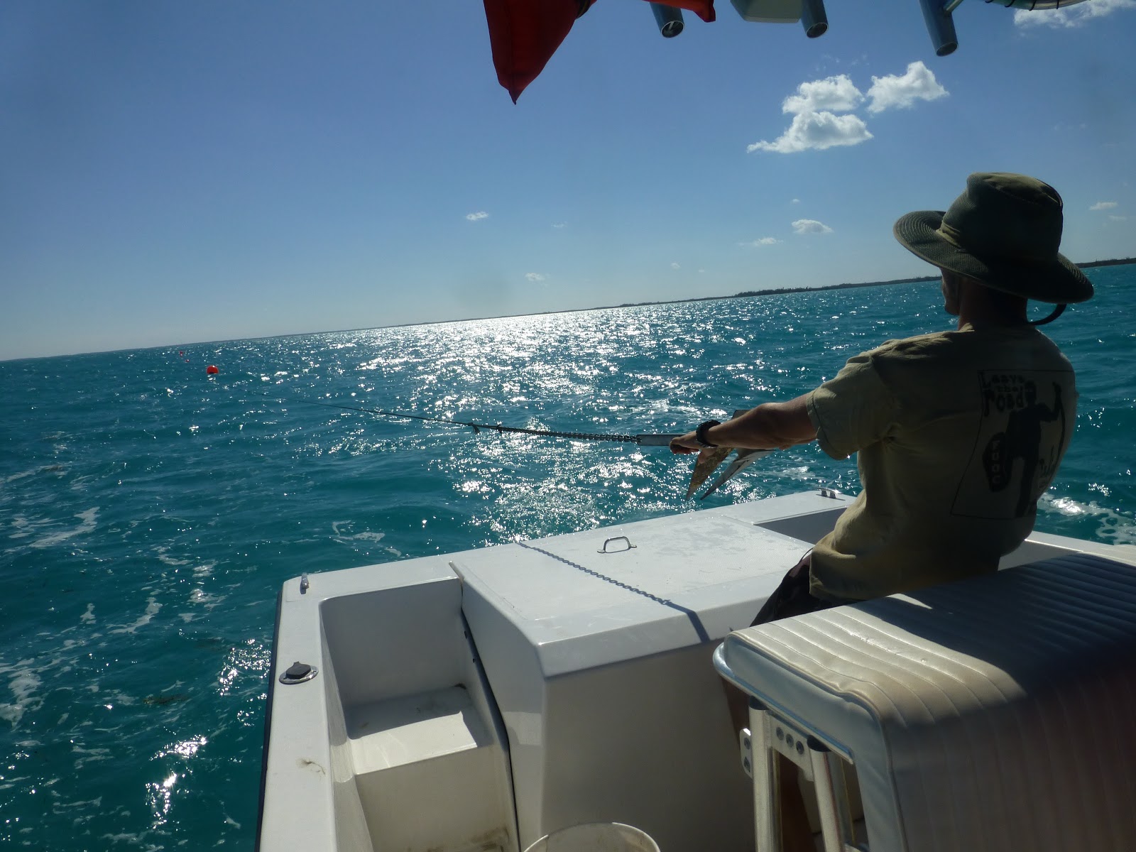 A Field Biologist's Notebook: "The camera is a sketch book, an ...