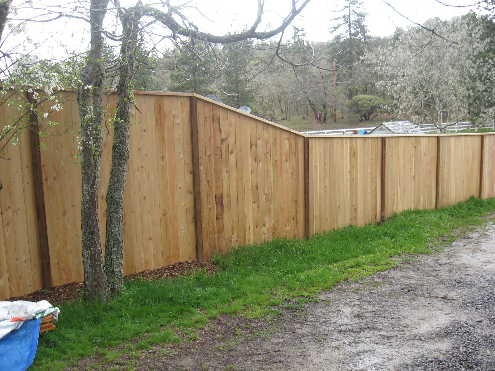 Dwell Concepts: Cedar Privacy Fence Part 2