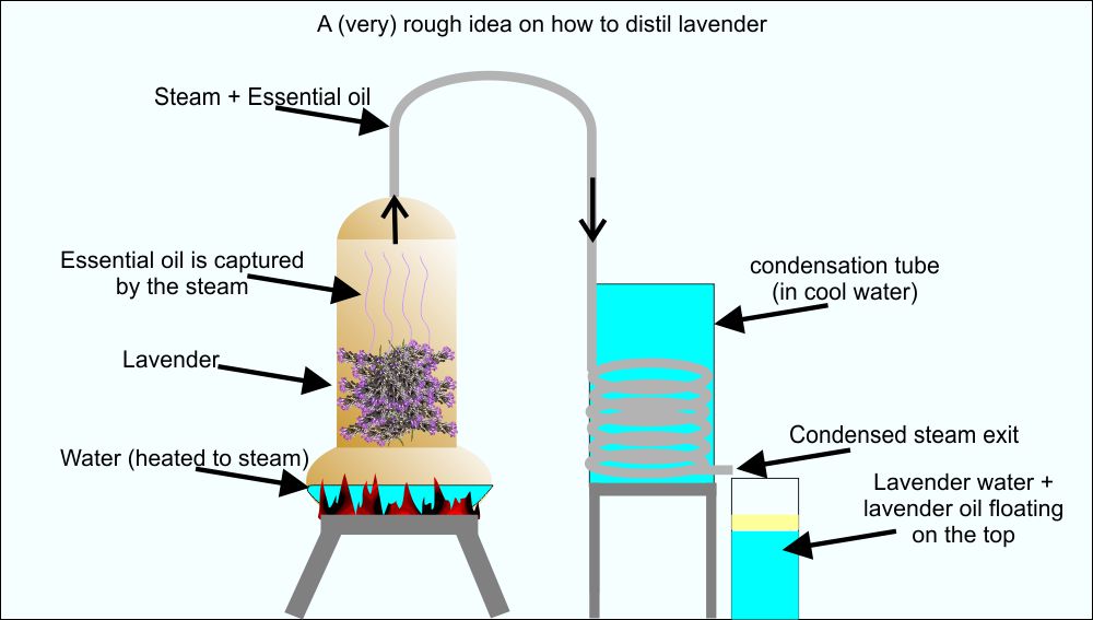 Unique Provence Luxury and Authentic Travel Blog: In the Footsteps of ...