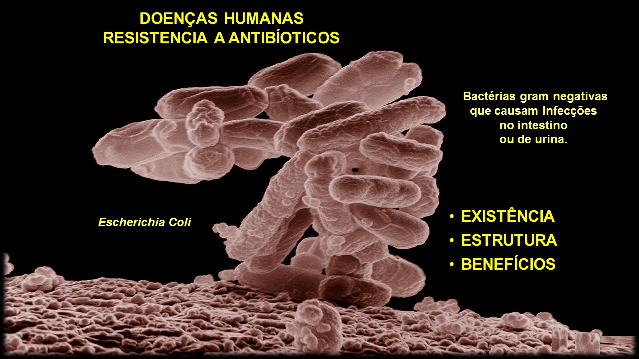 Professor Jimmy Oliveira: CAPÍTULO 3 - SERES PROCARIONTES - BACTÉRIAS ...