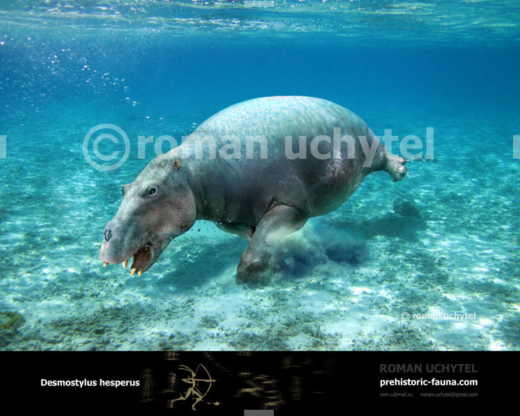 Palaeos, la historia de la Vida en la Tierra: ¿Fósiles vivientes?