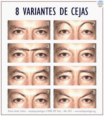 8 TIPOS DE CEJA Y SU SIGNIFICADO - SERES GRISES