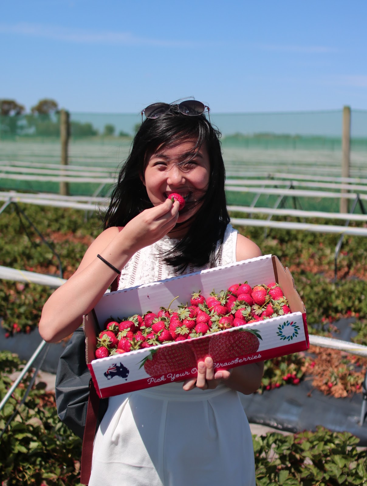 Perth Travelogue | part 2 - MONGABONG