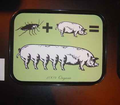 Les Agents Sans Secret: LES OGM : UNE RÉVOLUTION GÉNÉTIQUE AU MENU