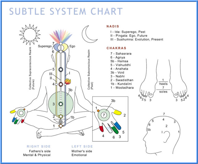 Chakras: 7 Gates To The Universe - Divine Shiv Yoga