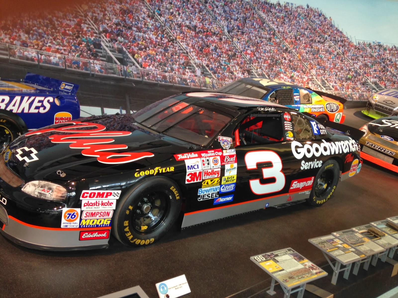 Meandering Magees: NASCAR Everywhere