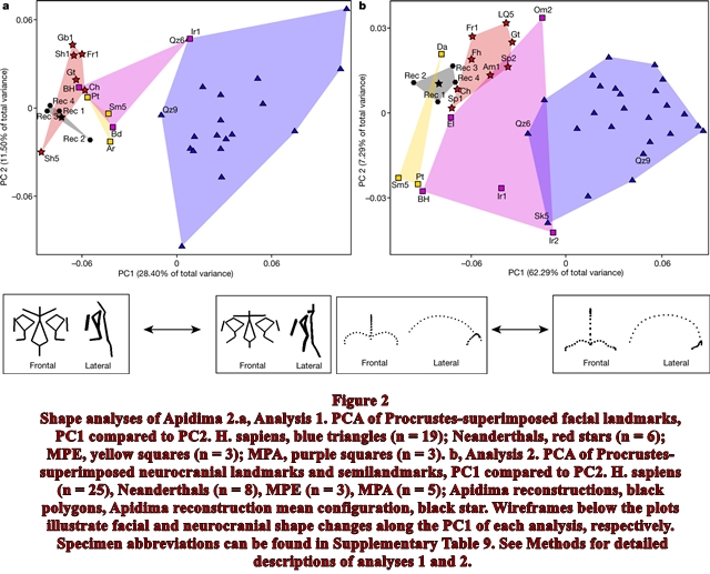 Αριστομένης ο Μεσσήνιος: Apidima Cave fossils provide earliest evidence ...