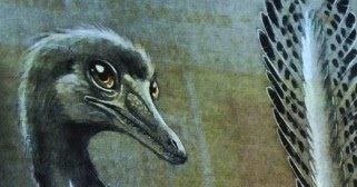 Novo tipo de dinossauro carnívoro é encontrado