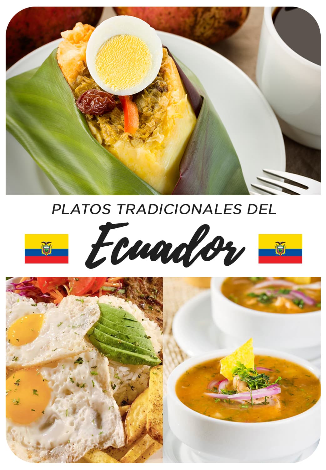 SITIOS TURÍSTICOS DEL ECUADOR: COMIDA ECUATORIANA