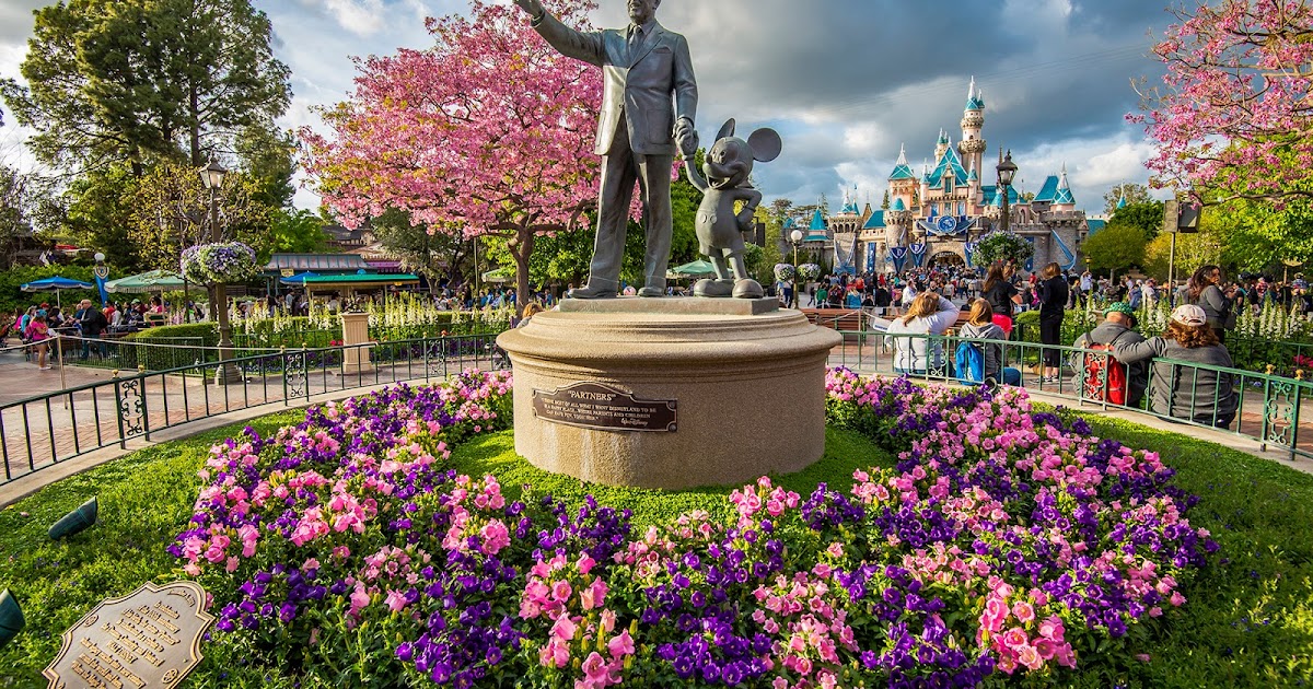 Disney Photoblography