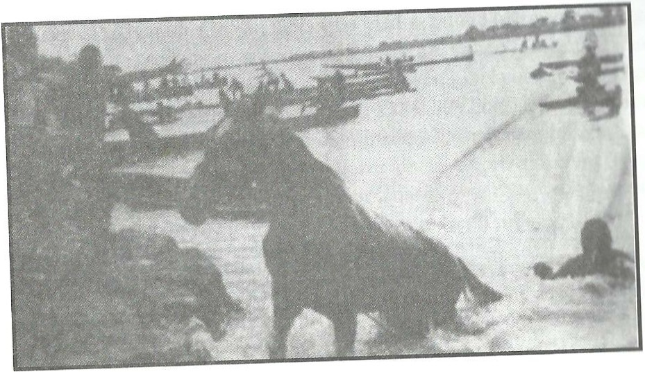 EL ABORDAJE DE LEÓN MOSER GUERRA ~ Apure es Puro Llano