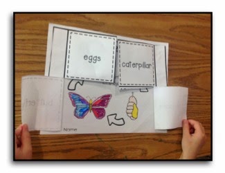 Teacher Tam's Educational Adventures: Flip-Flop Blog Hop AND a FLASH ...