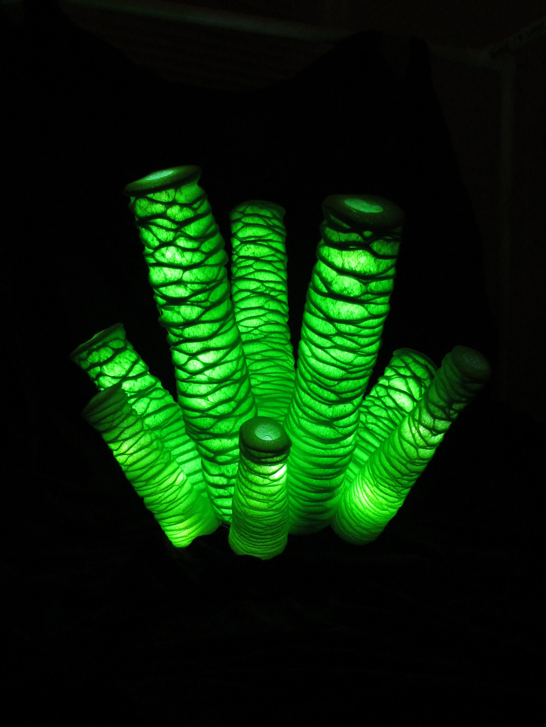 Propnomicon Glowing Fungi propnomicon-glowing-fungi