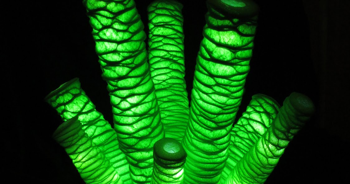 Propnomicon Glowing Fungi propnomicon-glowing-fungi