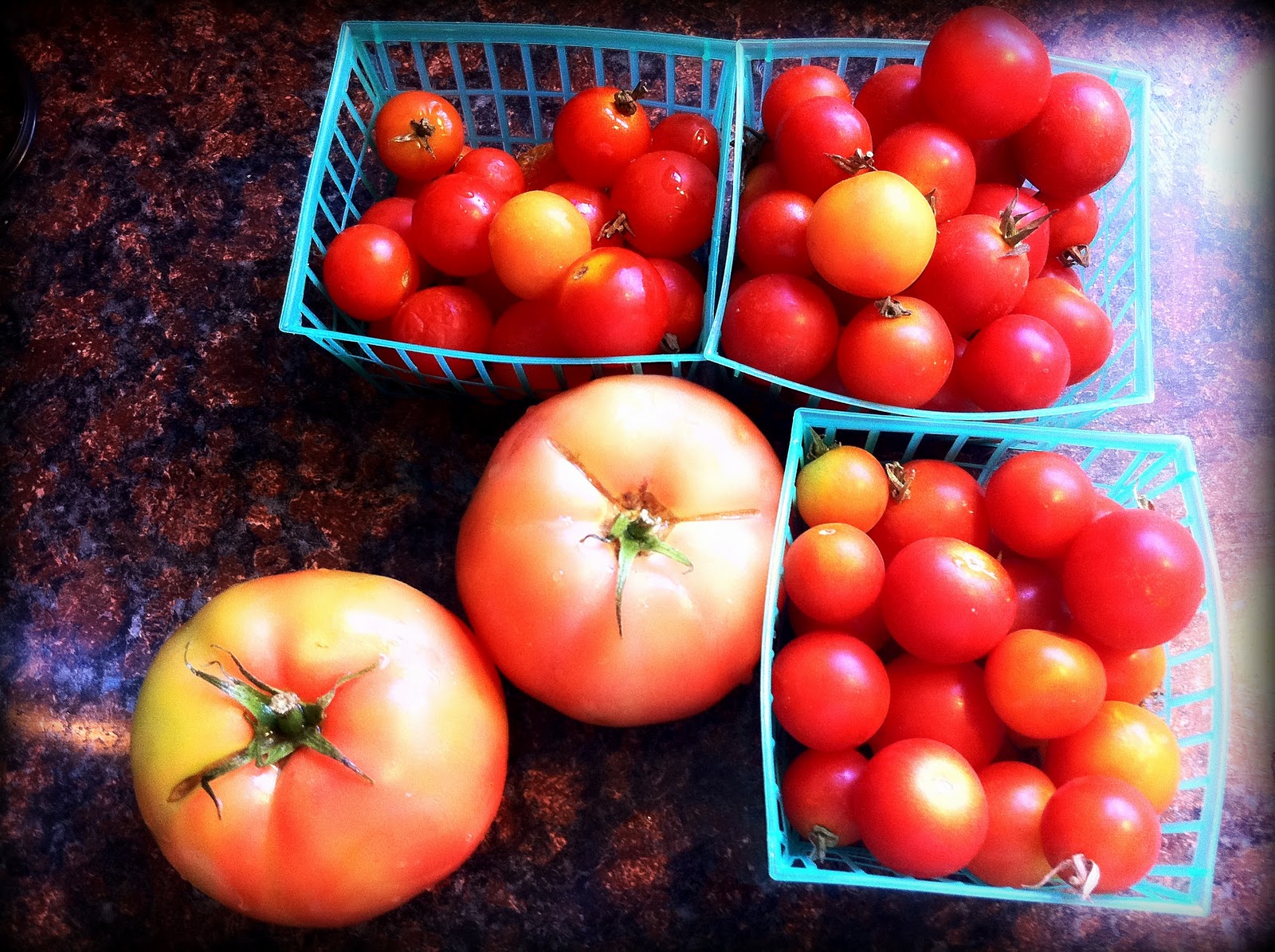 riddlelove: Creamy Tomato Bisque ~ A Recipe using Fresh Tomatoes
