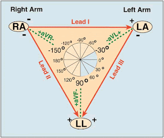 The Site for Healthcare Professionals: ECG (Electrocardiogram).