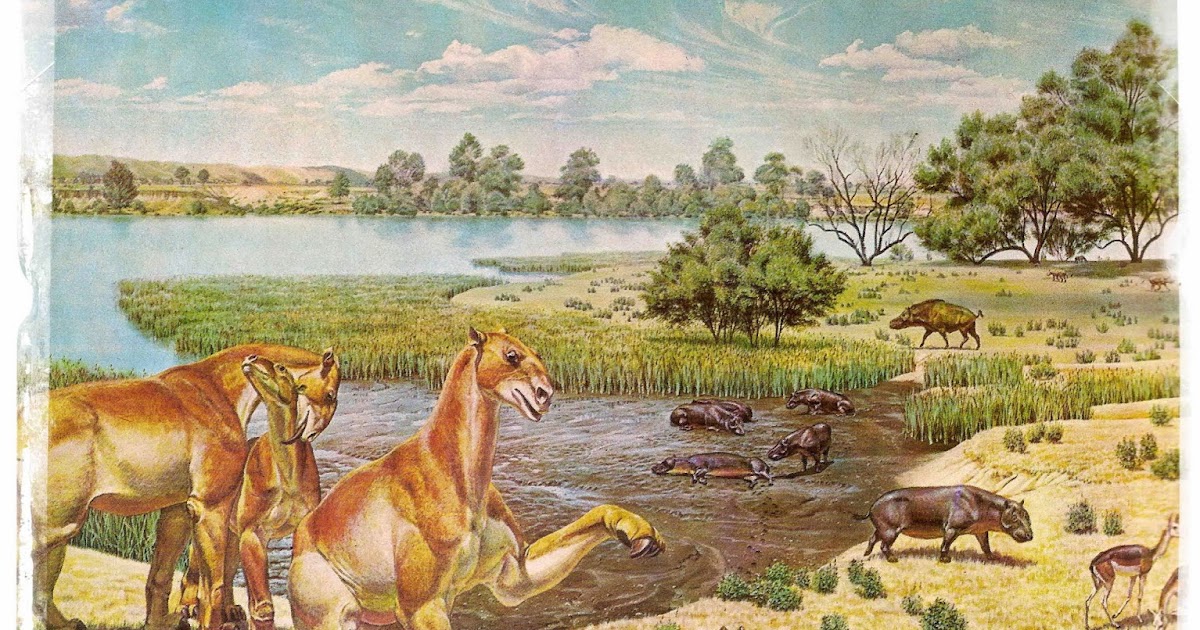 Paleobotany: NEOGENE PERIOD ~ 23.03–2.588 million years ago