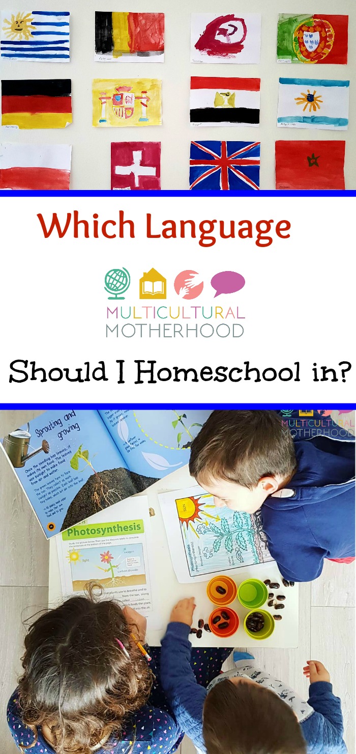 Which Language Should I Homeschool in? | Multicultural Motherhood