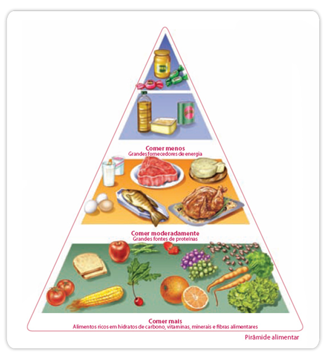 Bela Caliandra: Pirâmide Alimentar - Você entende?