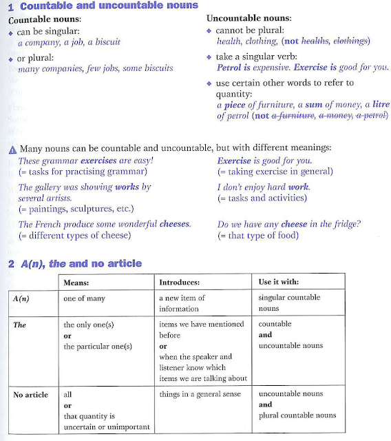 CEPT Practice: Nouns and articles