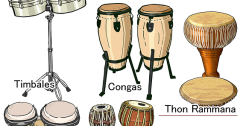 MUSIC IN THE 20TH CENTURY: MEMBRANOPHONES