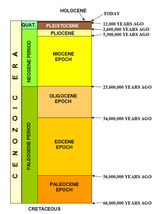 Pliocene Epoch Timeline