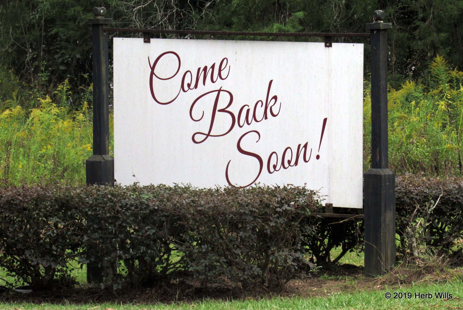 Trouble Afoot!: Troy Dunkley and Ann Centner were fast tourists at the ...