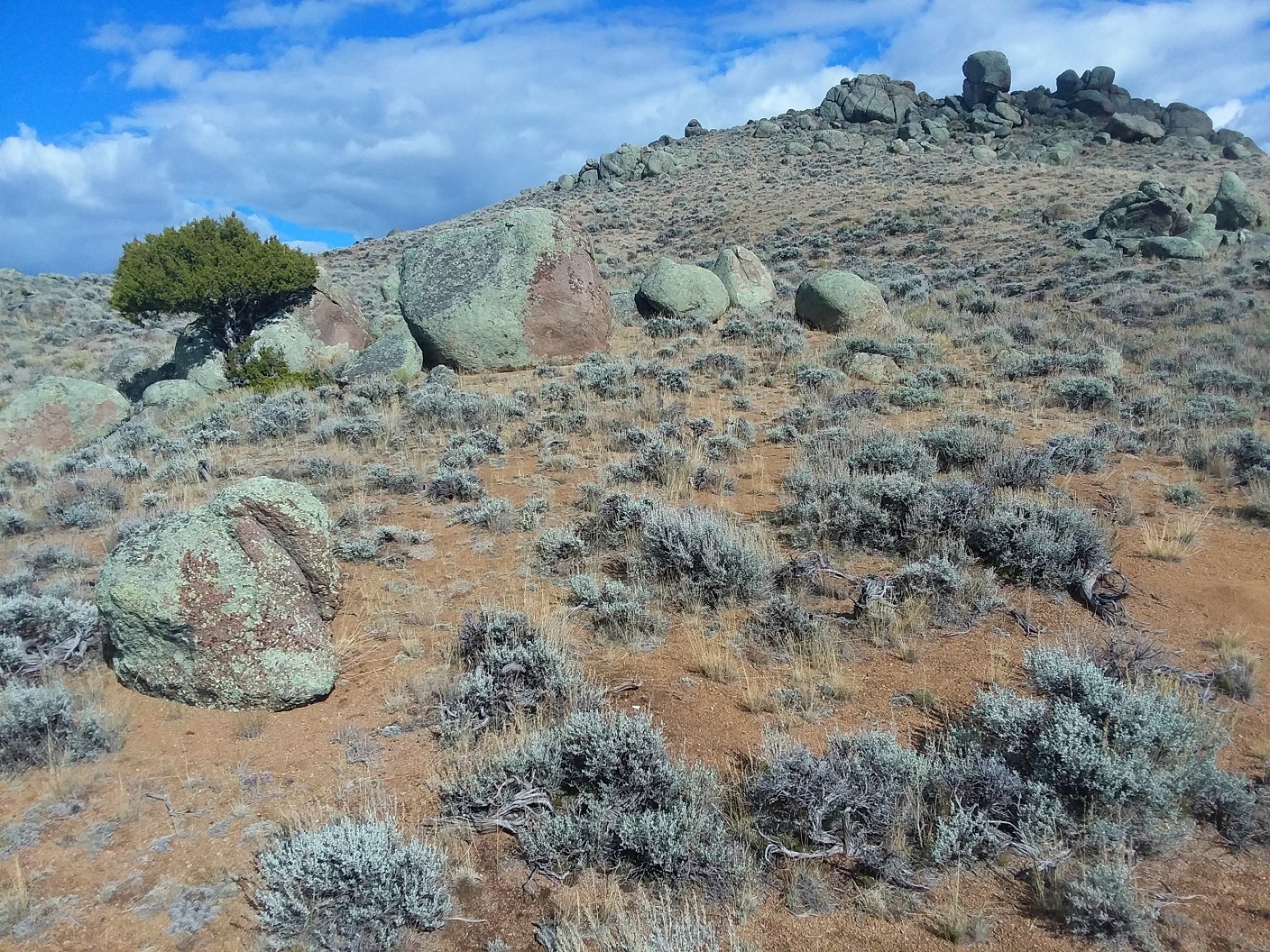Dream Packer Wyoming Trails: Boulder Rocks