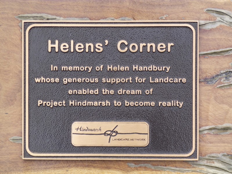 Of Cockatoos and Kangaroos: Kangaroos and ... EMUS!