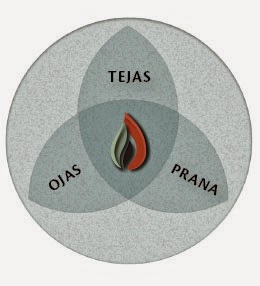 Advaita - Non-duality: PRANA,TEJAS AND OJAS by David Frawley