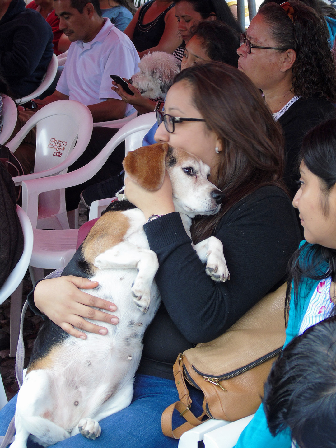 Cerrito de la Virgen del Carmen: Mascotas (1).
