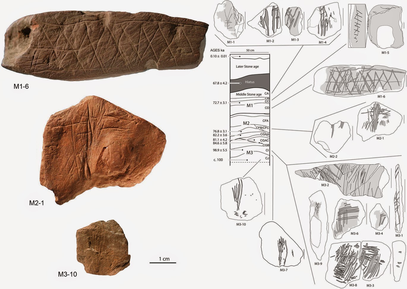 Archaeology of Portable Rock Art: Engraved stone M3-10 from Blombos ...