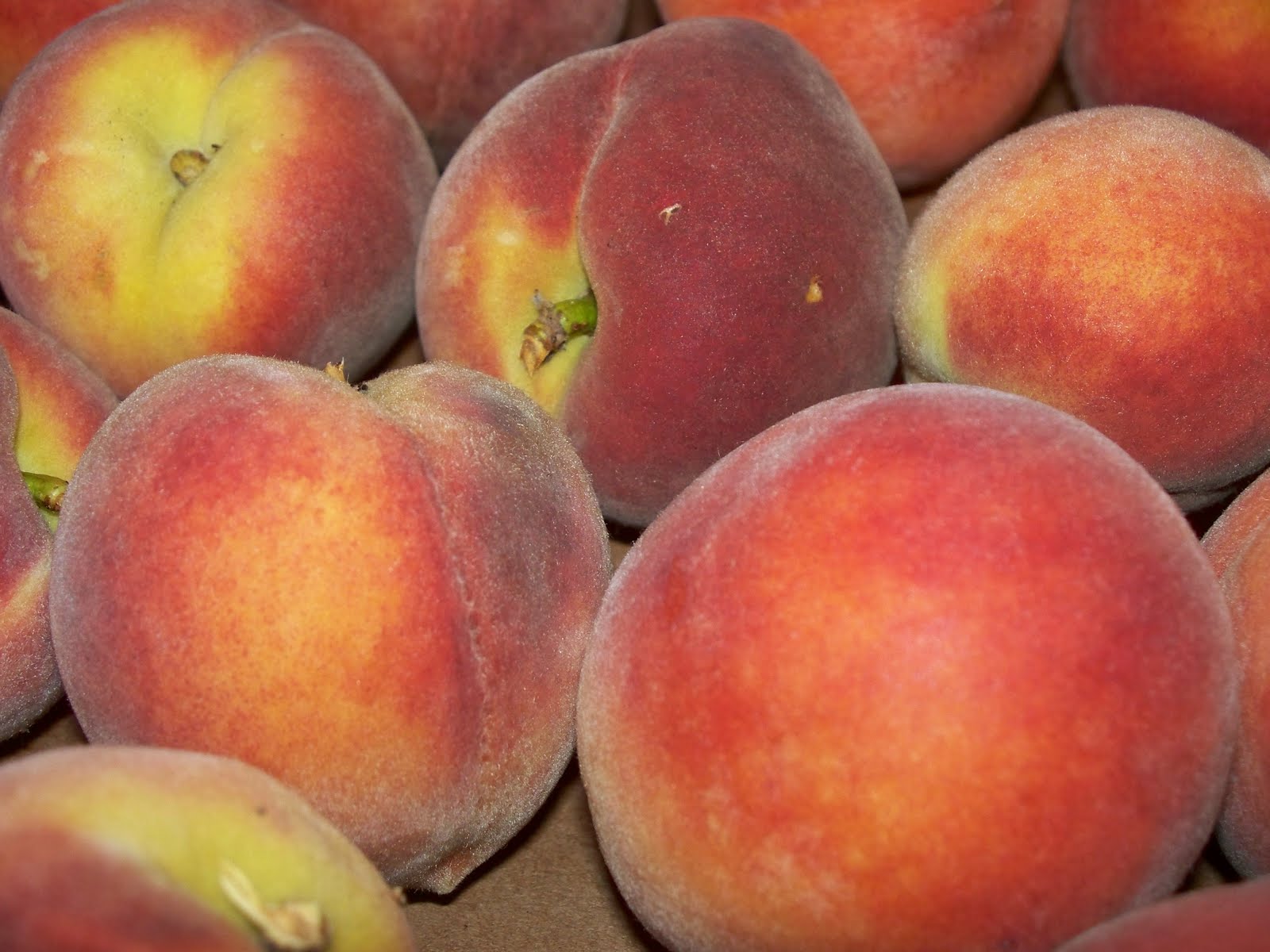 Four Burners: Fruit of the Land