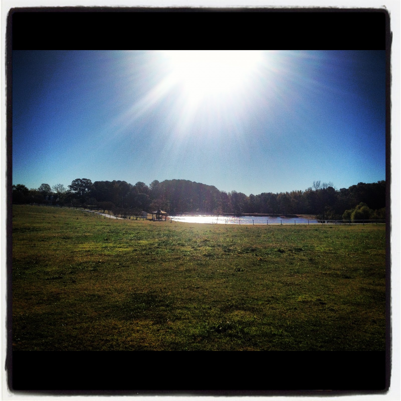 Alive and Livin': Southern Cross Horse Ranch