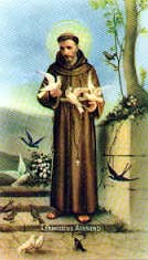 St. Elizabeth Ann Seton Exchange: Curriculum 2015-3016 This & That