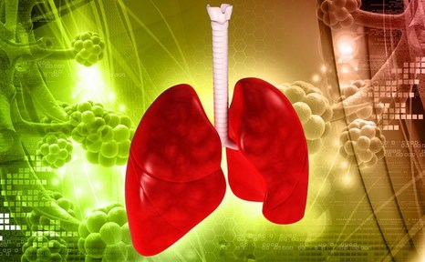 ΑΠΟΚΑΛΥΨΗ ΤΩΡΑ ΣΕ ΟΛΑ..!: ΒΟΤΑΝΑ