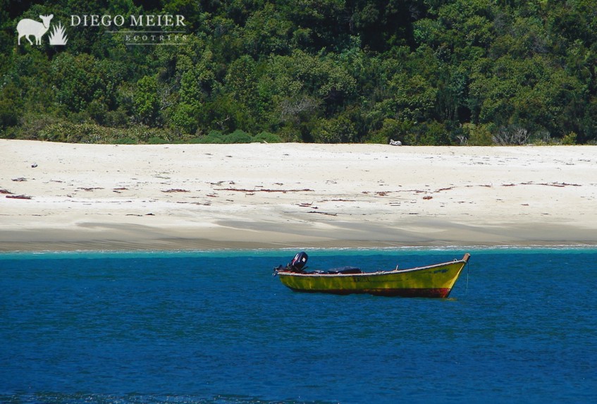 Diego Meier Ecotrips: Ecotrip Caleta Cóndor - Territorio Mapu-Lahual ...