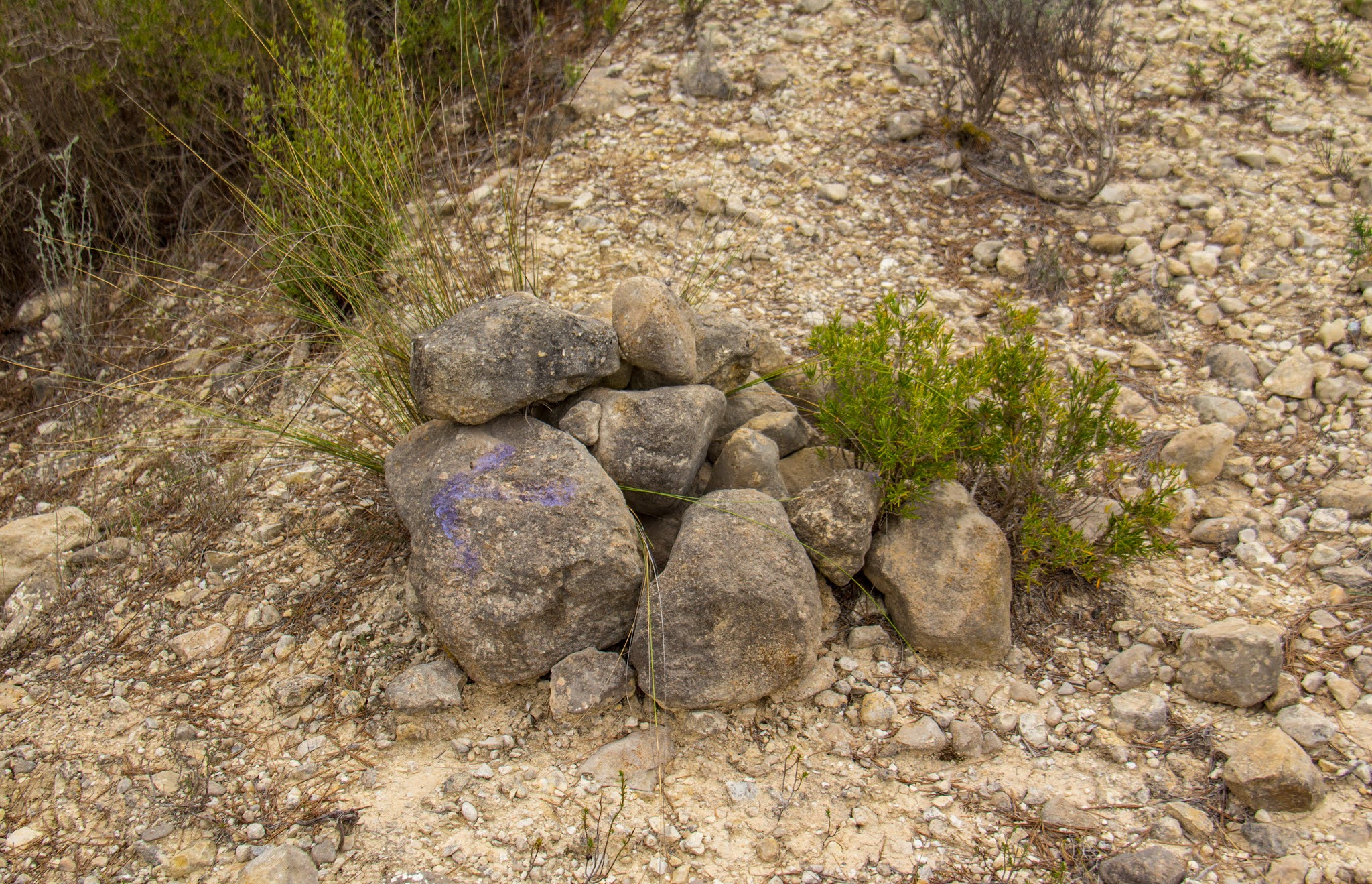 RUTA CIRCULAR AL CERRO DEL AGUDO DESDE BARBARROJA.