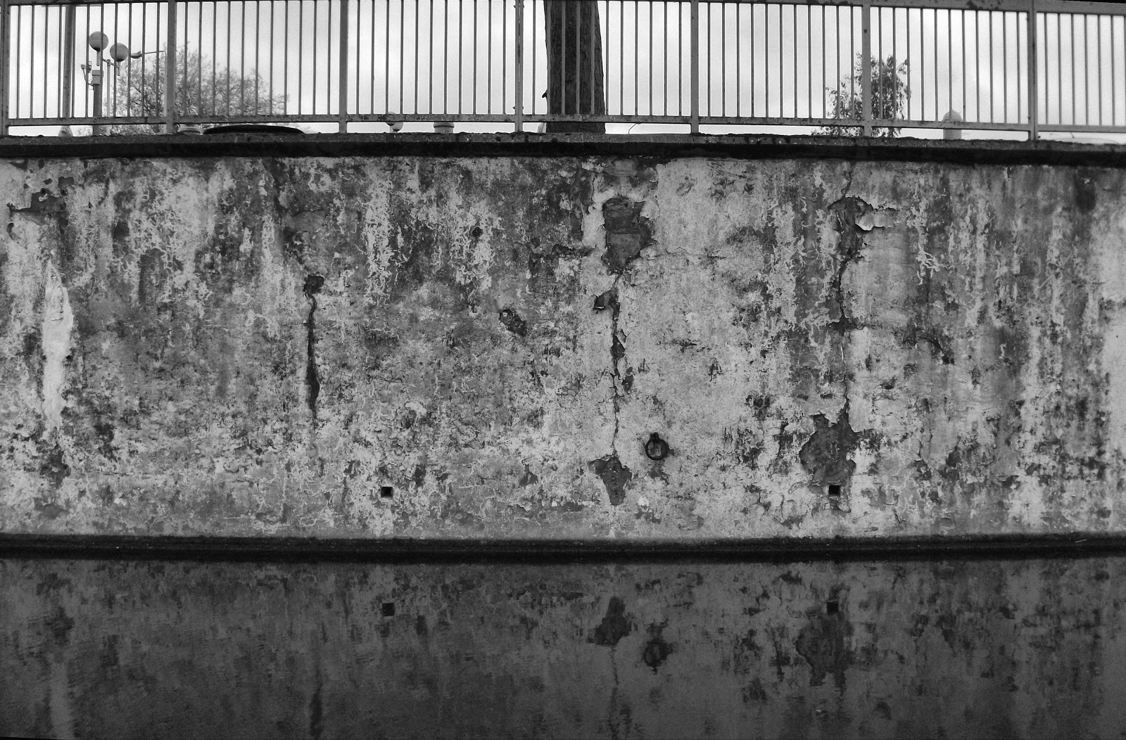 Andrew Lucas Photography