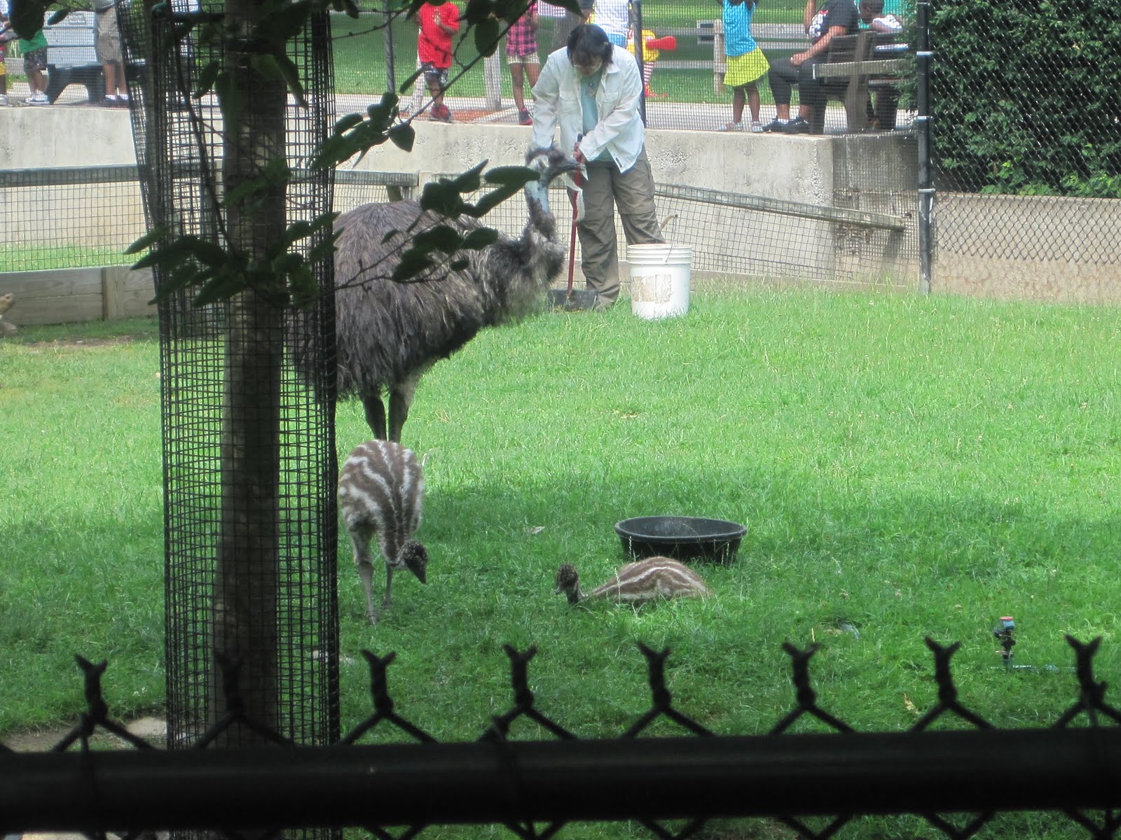 Vivienne Rae & Theodore Joseph: Capron Park Zoo & Splashpad