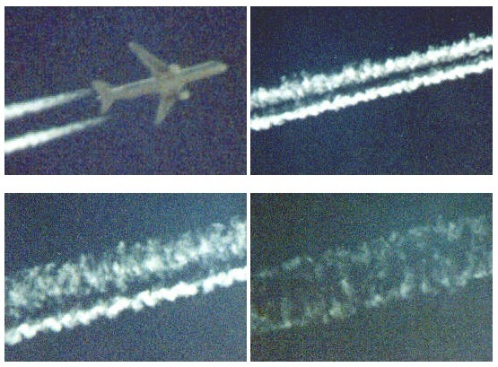 Lyn Melvin: Our Last Day--Behold, a Great Red Dragon!