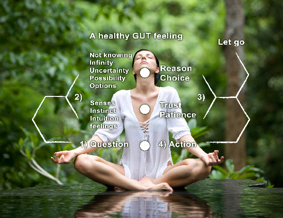 GraphiCouture: Take healthy action from a healthy GUT feeling