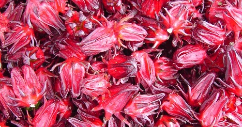 Zulyna Herbs: Kebaikan Bunga Roselle