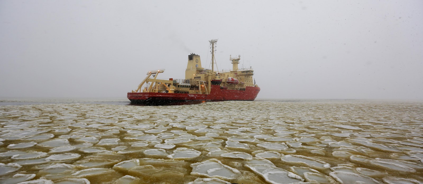 Antarctica via New Zealand and Chile: Pancake Ice & Algae Snot
