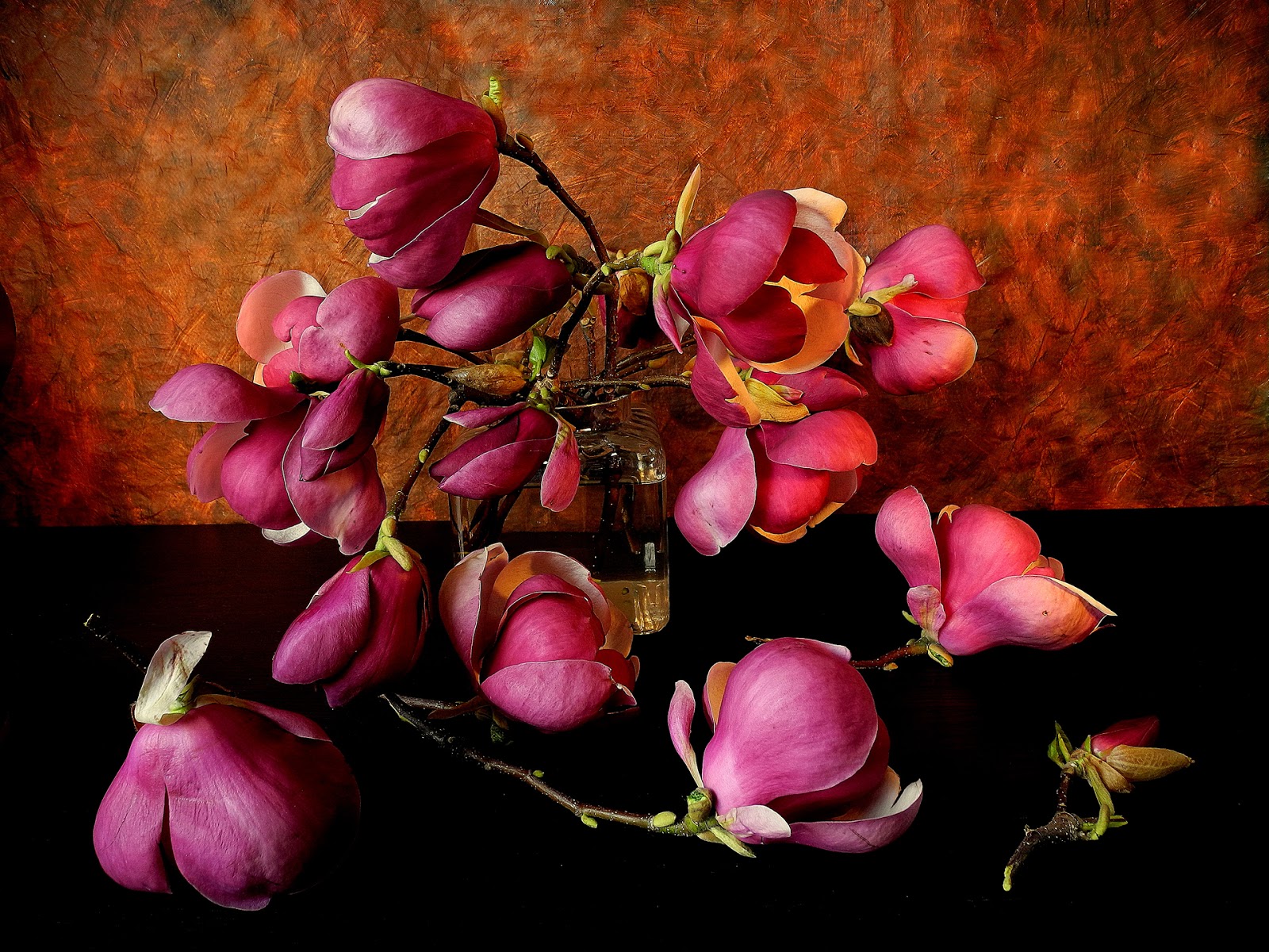 Imagenes De Flores Naturales Bonitas