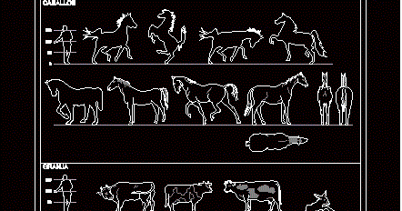 catalogue animal dwg