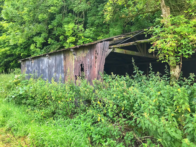 WW1 Wiltshire Part One: Codford & Larkhill - Kathryn's history blog