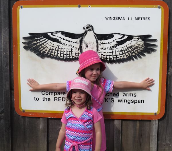 Wingspan, Armspan - Maple Leaf Mommy